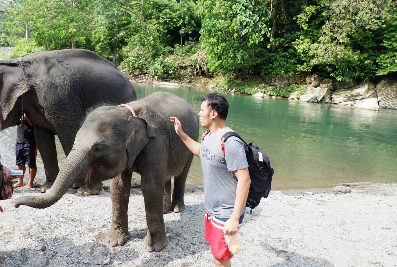 One Day Trip Tangkahan : Tour Medan